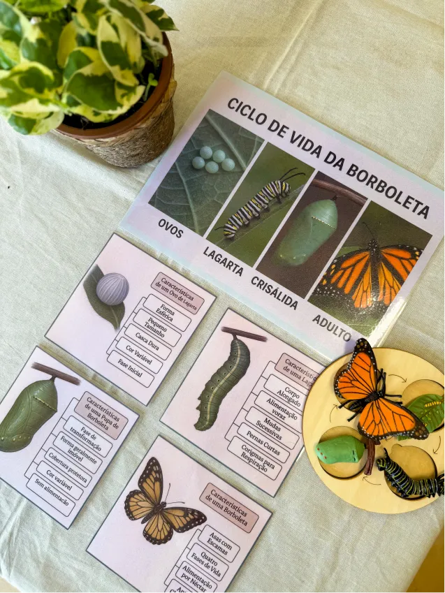 Planejamento Criativo - Prof. Marcella Campos