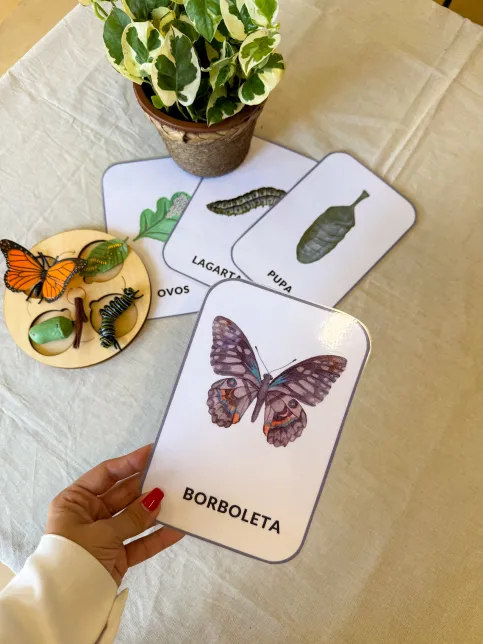 Planejamento Criativo - Prof. Marcella Campos