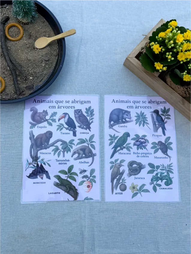 Planejamento Criativo - Prof. Marcella Campos